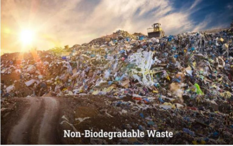Dealing with the Growing Challenge of Waste Management in an Urbanized ...